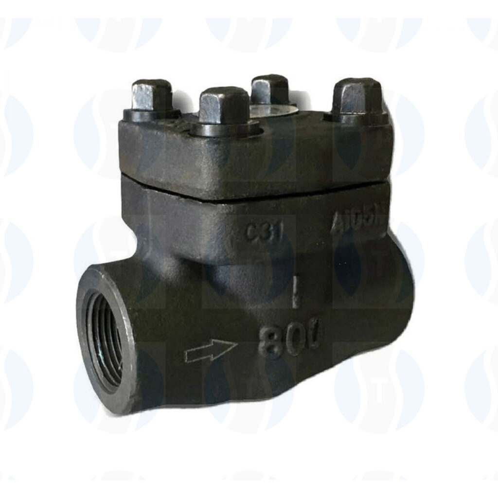 Check Valve - TS Flow Controls Private Limited